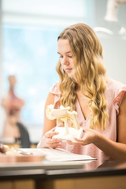 Summer adventures in occupational therapy | Lenoir-Rhyne University