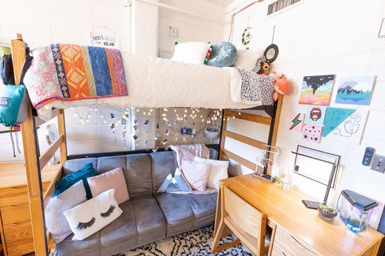 Campus Housing Committee created to enhance residential life | Lenoir ...