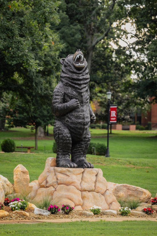 Un-BEAR-lievable addition | Lenoir-Rhyne University