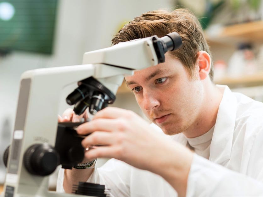 Seeing a future under the microscope | Lenoir-Rhyne University