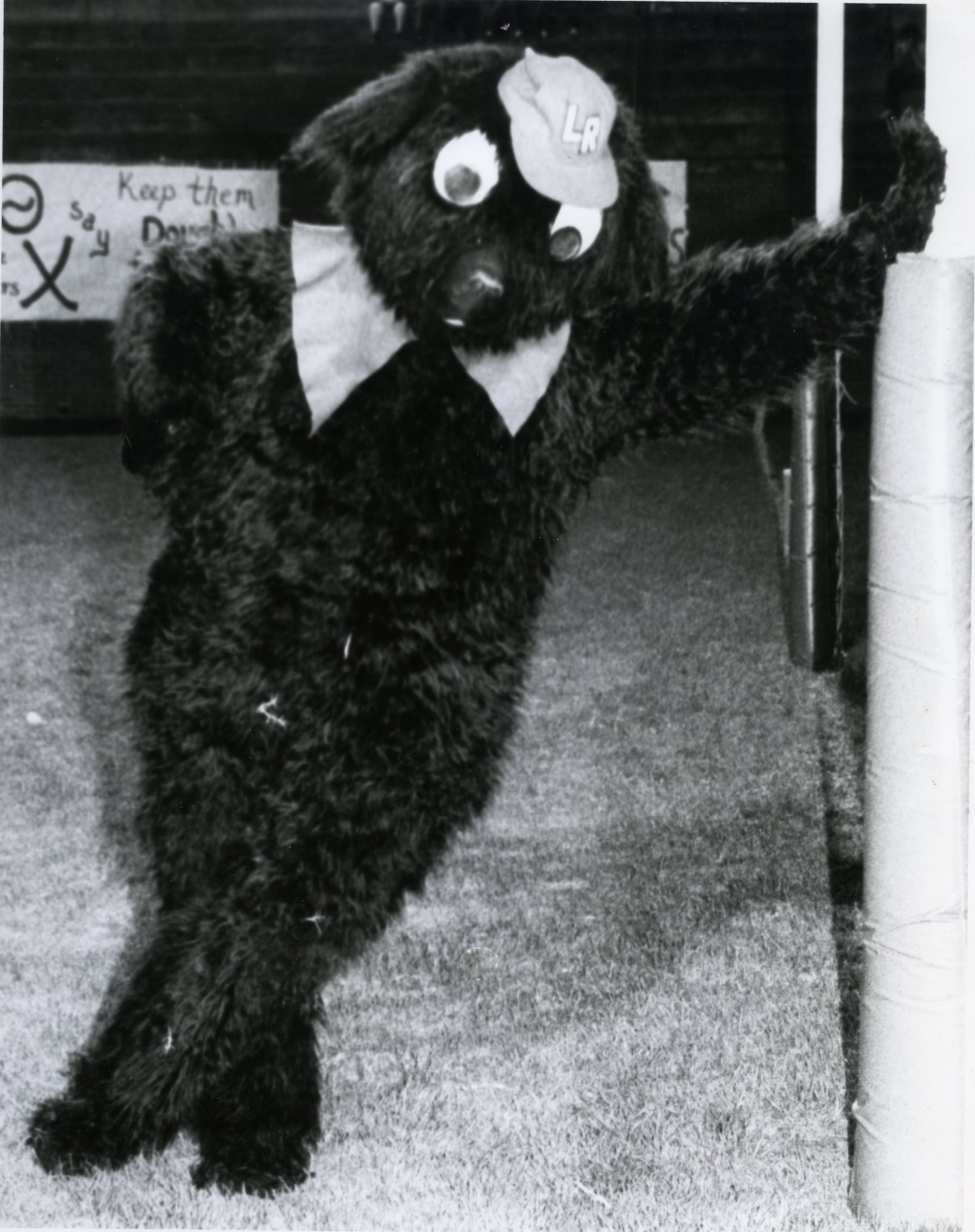 The Many Lives of Joe Bear | Lenoir-Rhyne University