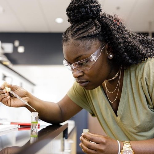 Admission and Aid | Lenoir-Rhyne University