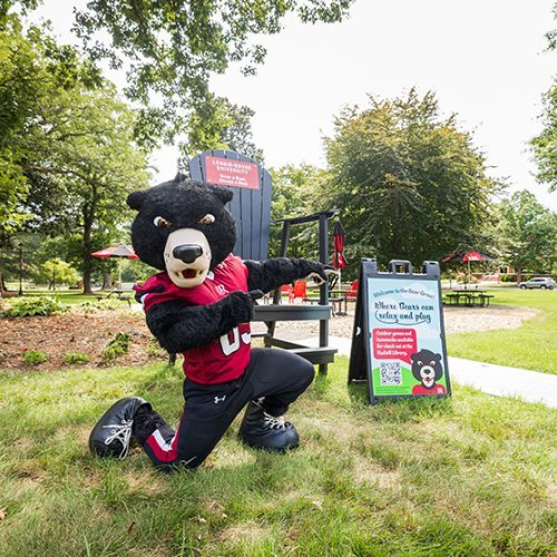 Bear Grove turns campus quad into a vibrant outdoor hub | Lenoir-Rhyne ...