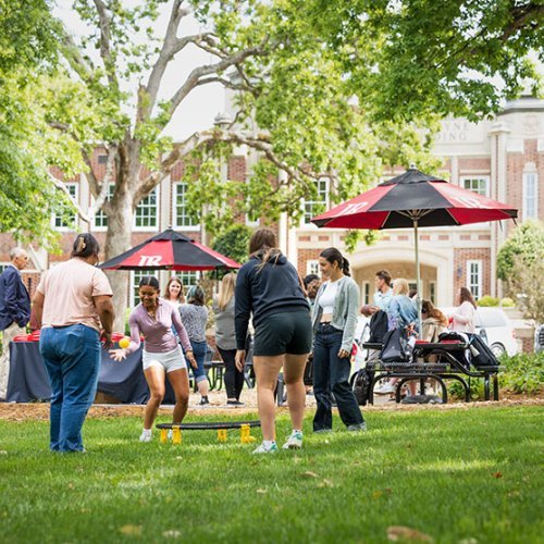 Bear Grove turns campus quad into a vibrant outdoor hub | Lenoir-Rhyne ...