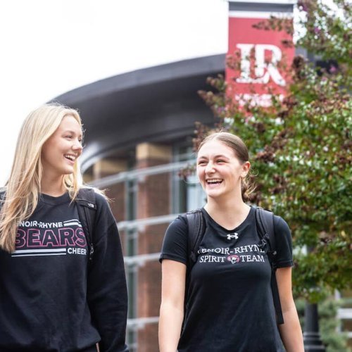 Lenoir-Rhyne trustees unanimously approves new strategic plan | Lenoir ...